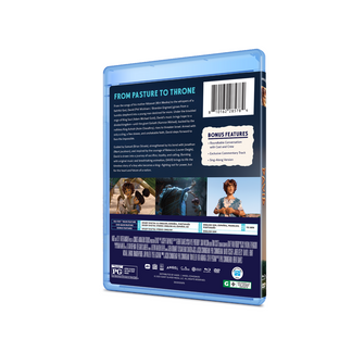 DAVID - Blu-ray + DVD – Angel Studios Gift Factory