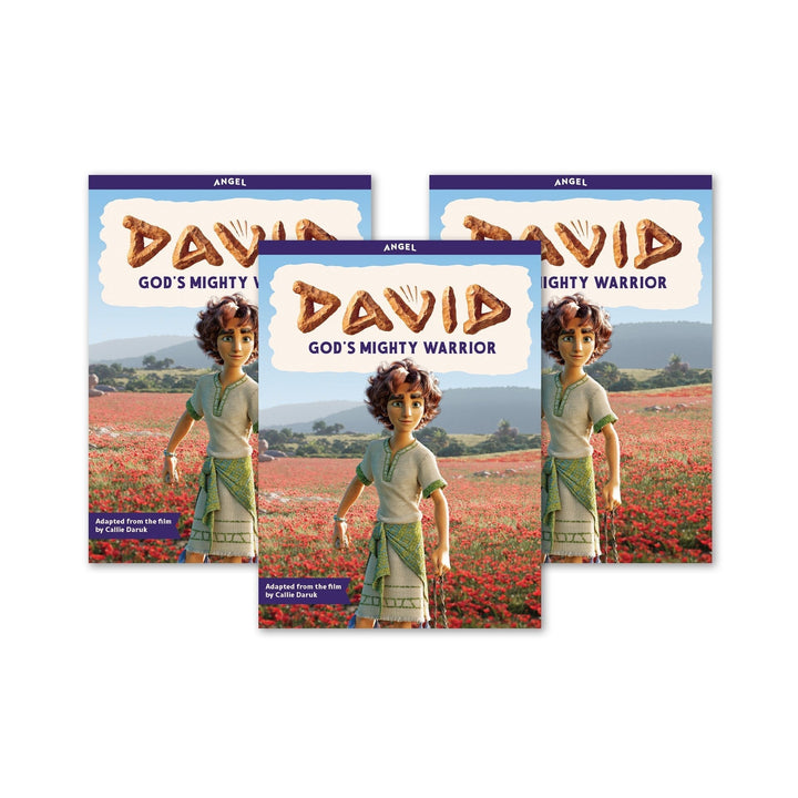 DAVID Official Store | Books – Angel Studios Gift Factory