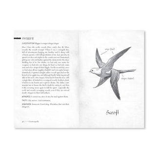 Wingfeather Saga Novel Book: Pembrick's Creaturepedia – Angel Studios Gift Factory